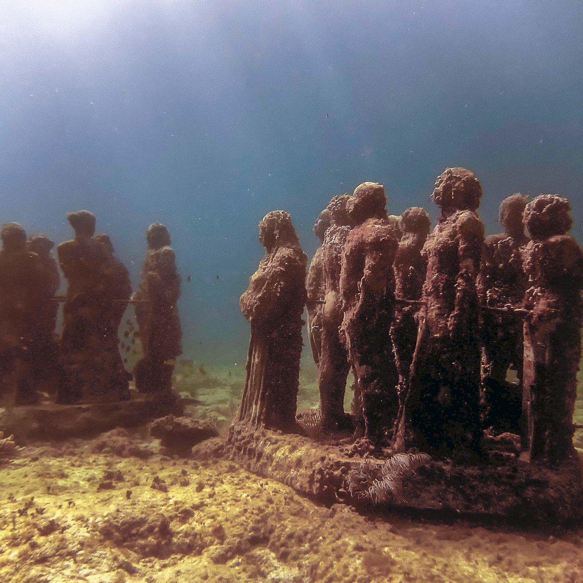 Cancún Underwater Museum Dive Site, Mexico | YachtCharterFleet