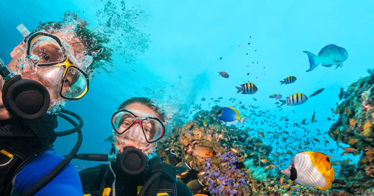 Guide to Yacht Charter Diving | YachtCharterFleet