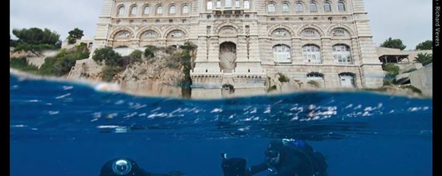Delve a Little Deeper – An Underwater Tour of Monaco | YachtCharterFleet