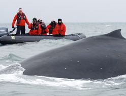 ENIGMA XK Yacht Photos - 71m Luxury Motor Yacht for Charter