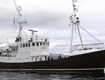 ARCTIC JANUS Yacht Photos - Karstensens Skibsvaerft