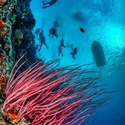 SCUBASPA ZEN Yacht Charter Price - Bulukumba Luxury Yacht Charter