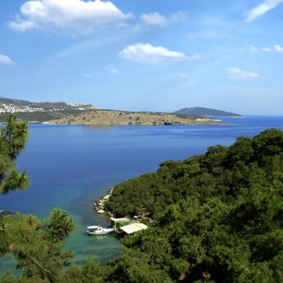 HALAS 71 Yacht Charter Price - Fairfield Shipping Co Luxury Yacht Charter