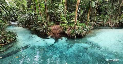 Kali Biru River Dive Site, Raja Ampat | YachtCharterFleet